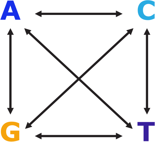 Science | Prime Medicine