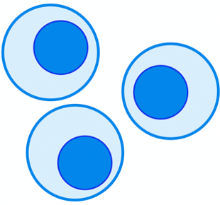 Science | Prime Medicine