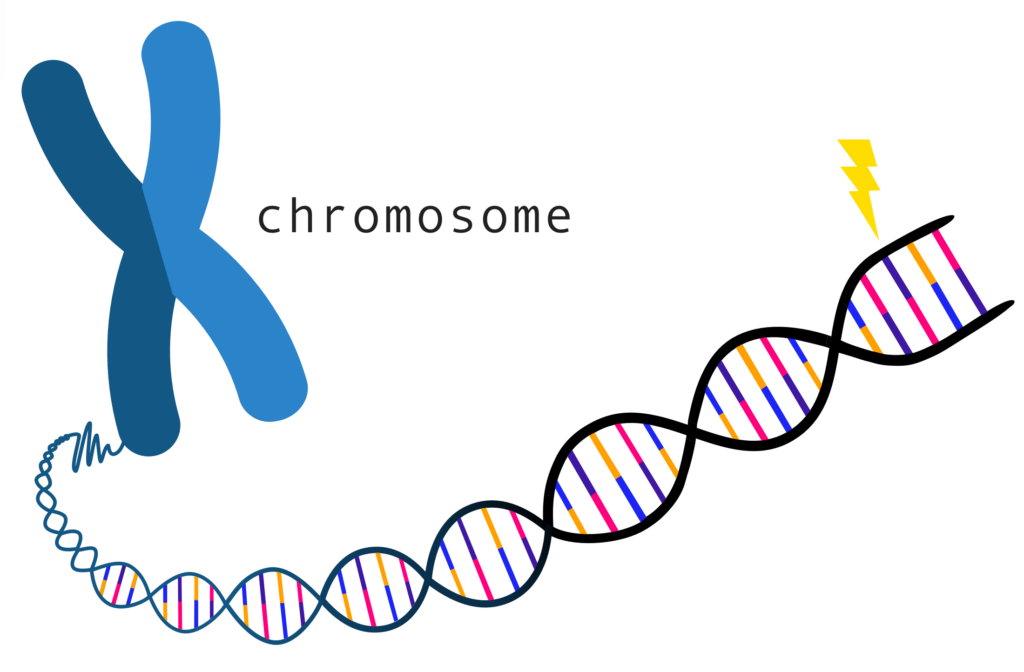 Science | Prime Medicine