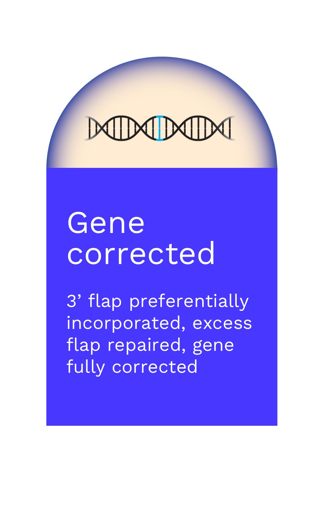 Science | Prime Medicine