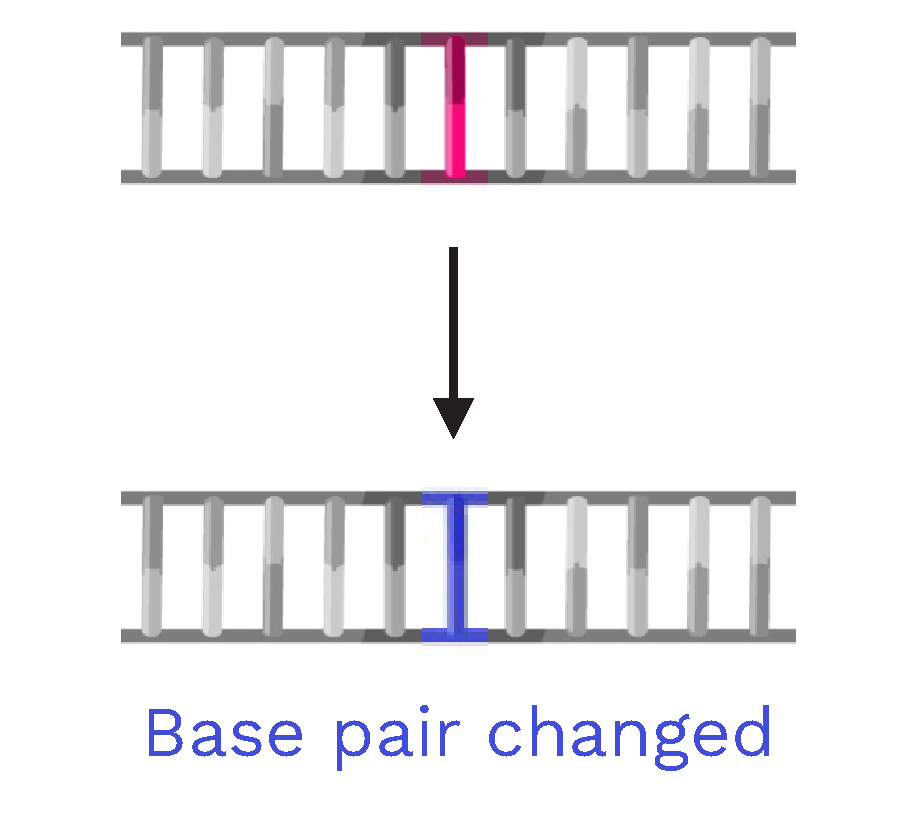 Science | Prime Medicine