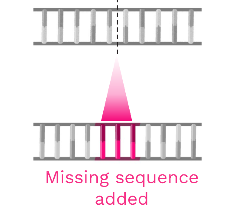 Science | Prime Medicine