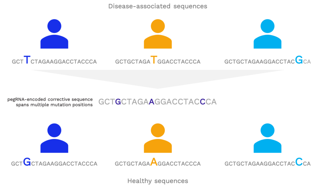 Science | Prime Medicine